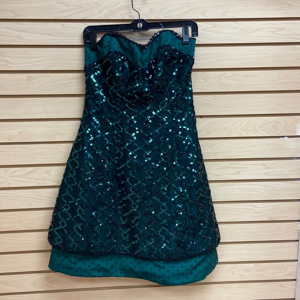 After Five Women Fancy, Rich Looking Dress Size 4 - Gem